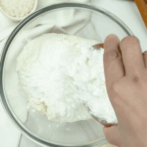 Classic Sicilian Cannoli Recipe with Ricotta Filling and Chocolate